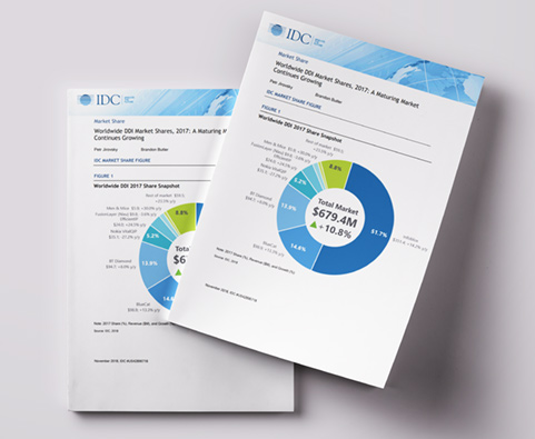 Free IDC Report: Worldwide DDI Market Update